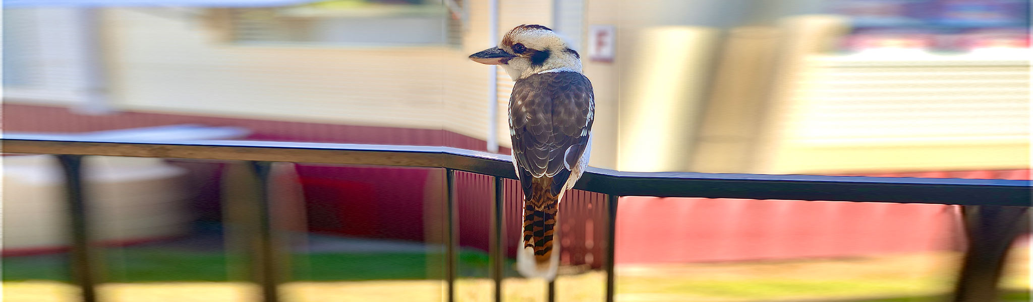 Mayfield State School